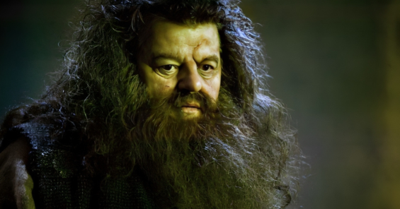 The TRUTH About Hagrid’s Parents REVEALED – Hogwarts Insider