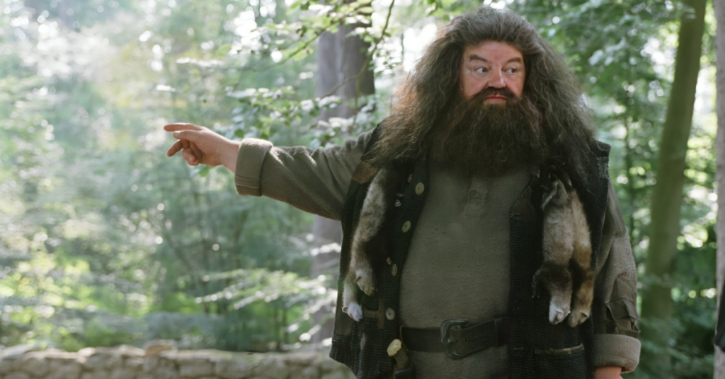 What really happened to Hagrid’s wand? The answer will shock you ...