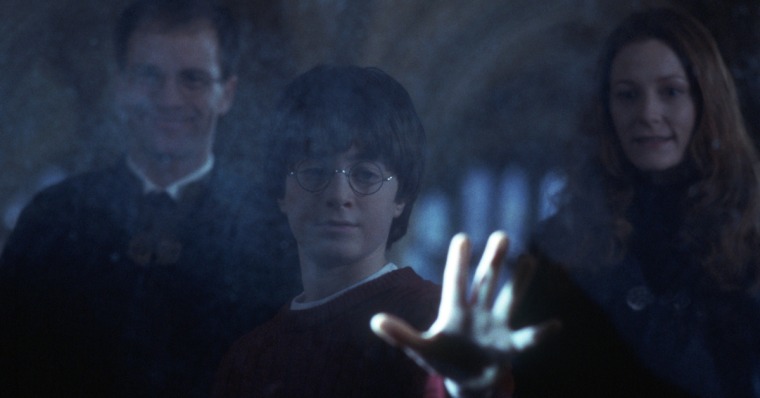 The Hidden Truth About Blood Status in the Wizarding World – Hogwarts ...